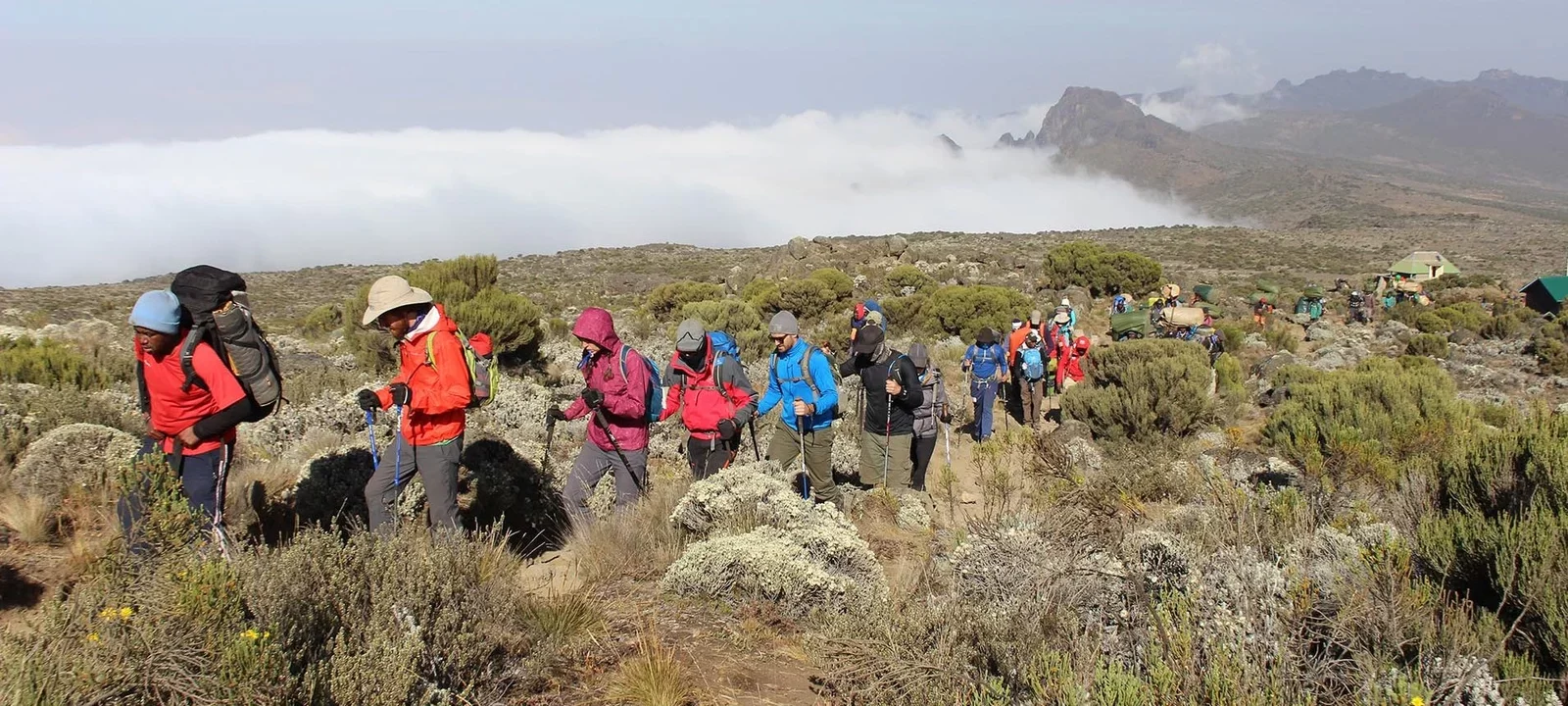 Rongai Route 7 Days – Kilimanjaro Trekking - Williamson Adventures