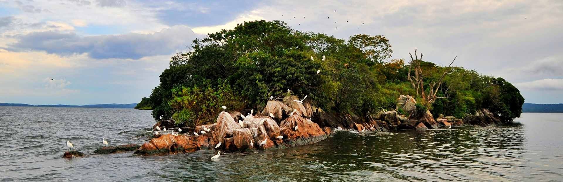 Rubondo Island National Park - Williamson Adventures