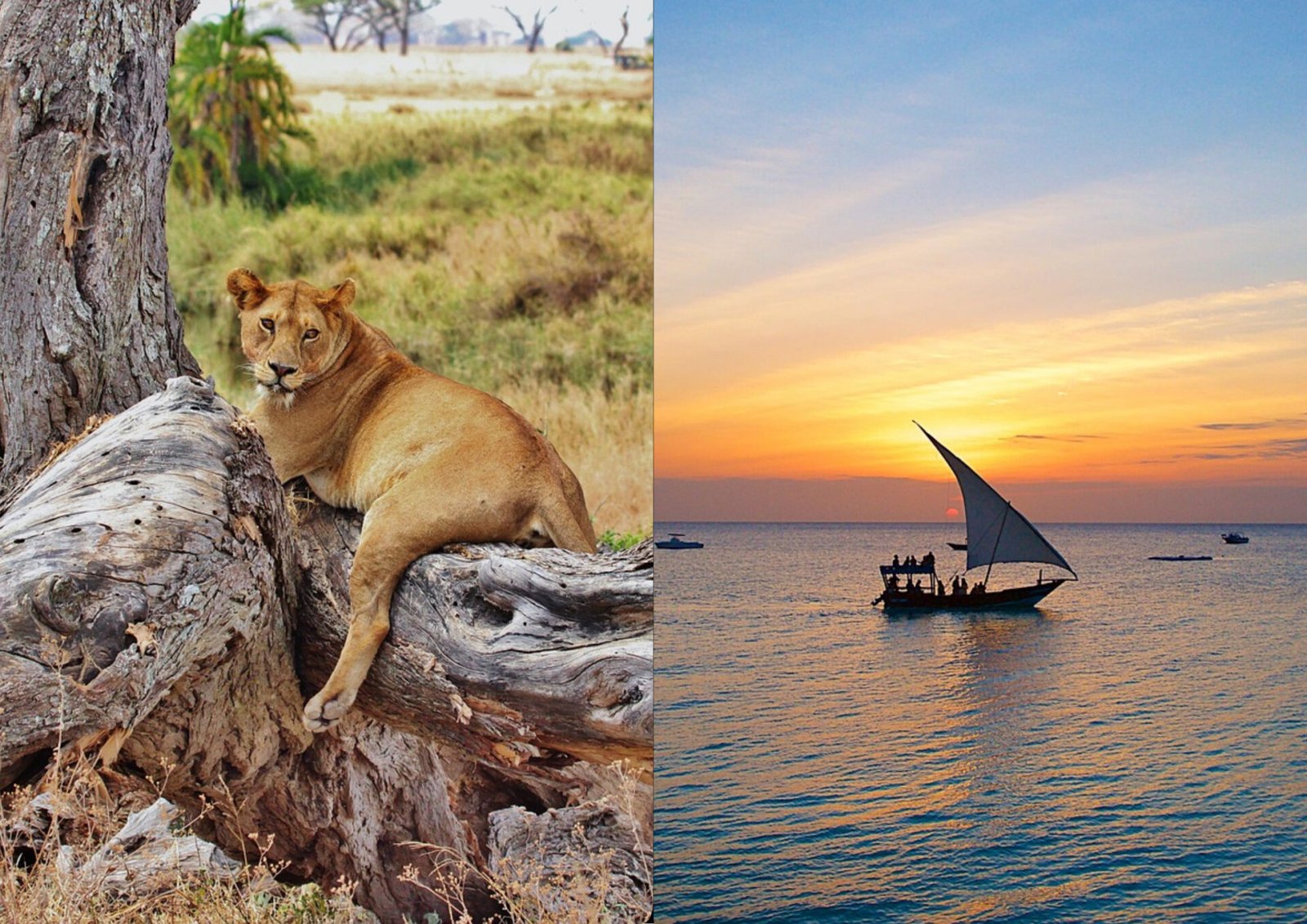 2004 Safari Zanzibar Brochure